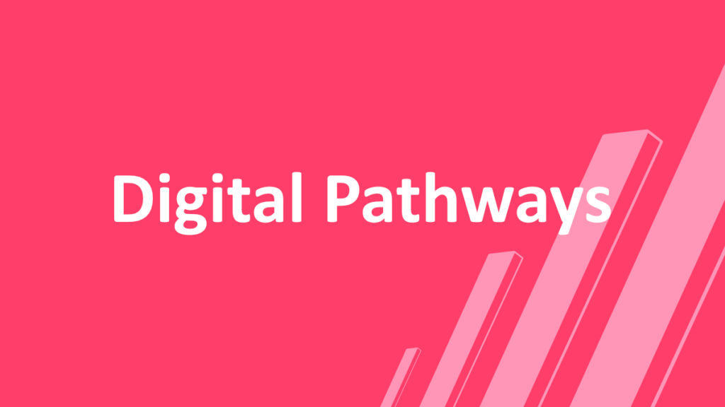 Digital Pathways - Culture24